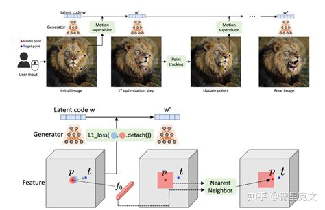 Ai绘画新软件——draggan初步研究 知乎