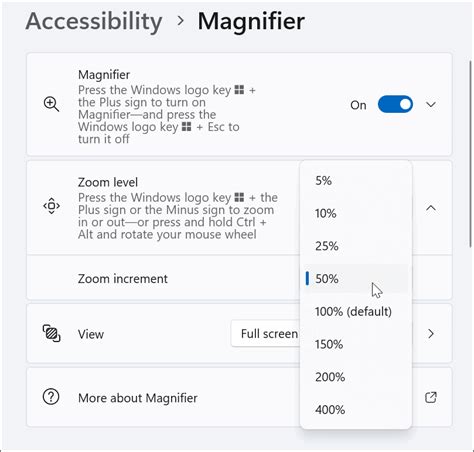 How To Use The Magnifier Tool On Windows 11