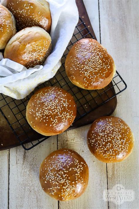 Homemade Hamburger Buns Recipe • The Prairie Homestead