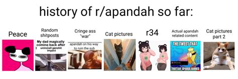 The Fuck Happened R Apandah