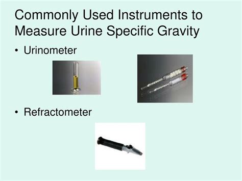 Ppt Chapter 8 Urinary And Bowel Elimination Powerpoint Presentation