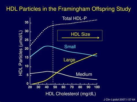 Hdl Particle Number Is It A Key To Understanding Hdl Cardiovascular Risk And Therapy Jim Otvos