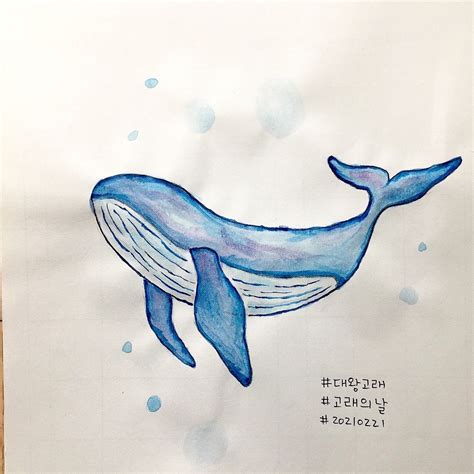 내가 그린 고래 그림 고래의 날 20210221 고래 그림 대왕고래 그림