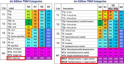 The Proposed Ninth Edition Tnm Classification Of Lung Cancer Chest