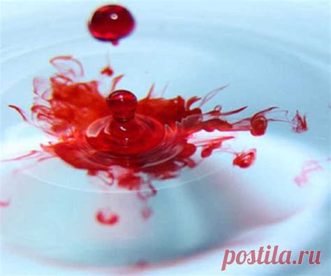 К чему снится кровь К чему снится много крови толкование значения сн Заговоры молитвы