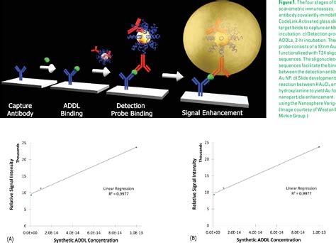 Figure 1 From Utilizing The Scanometric Immunoassay For The Ultrasensitive Detection Of Aβ 42