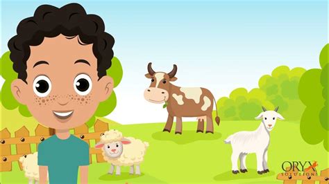 خصائص الكائنات الحية Youtube