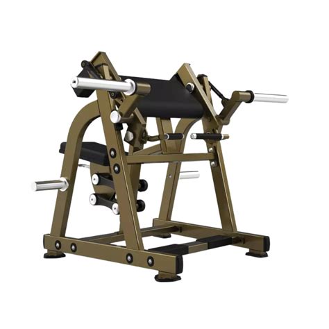 Ld Seated Bicep Curls Elite Pro Fitness