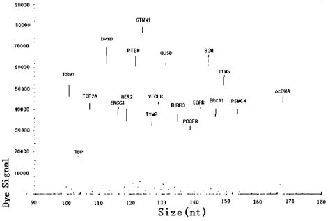 kit for synchronously detecting related gene expression level of 14