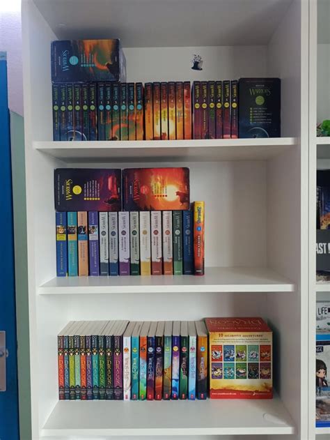 My Two Bookshelves R Bookshelf