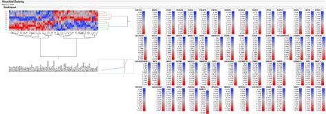 Solved Single Legend For Hierarchical Clustering Heat Map Jmp User Community