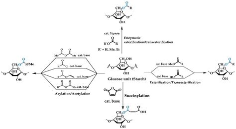 Polymers Free Full Text Modified Starch Based Adhesives A Review