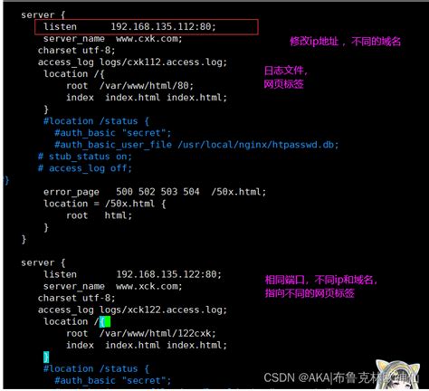 Nginx网站服务（安装nginx，nginx访问配置） Csdn博客