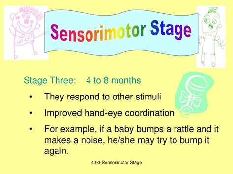 The Sensorimotor Stage Relevance To Infants Ppt Download