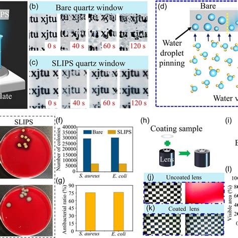 Different Wettability And Light Transmittance Of The As‐prepared Download Scientific Diagram