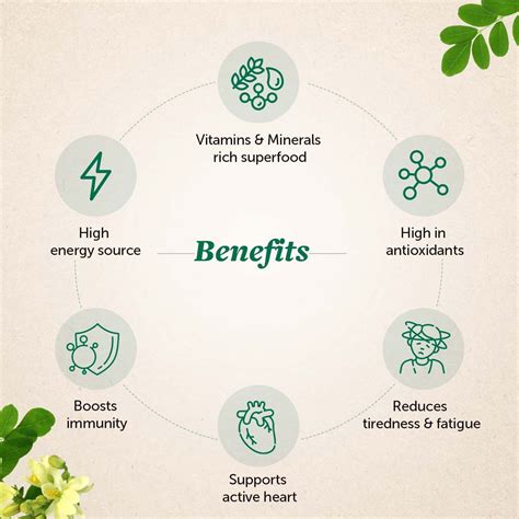 Buy Neuherbs Moringa Tablet Online At Best Price Neuherbs