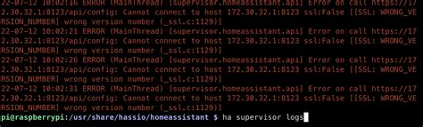 Could Not Load The Supervisor Panel Frontend Home Assistant Community
