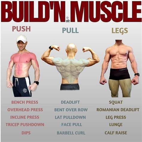 Push Pull Legs Program For Mass At Johanna Reed Blog