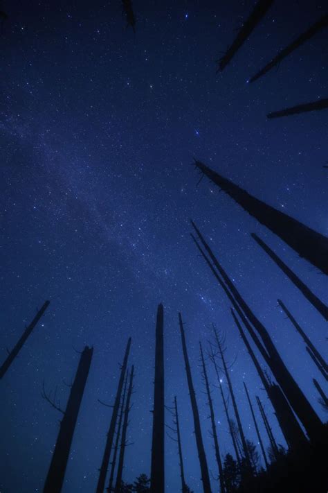 いにしえの宙 GANREF