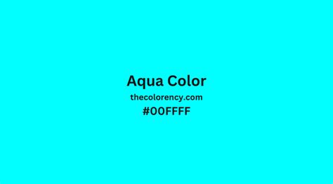 Aqua Color Food
