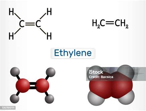 에틸렌 에탄 C2h4 분자 그것은 유기 화합물 탄화수소 알케네입니다 구조적 화학 적 포뮬러 및 분자 모델 디자인에 대한 스톡 벡터 아트 및 기타 이미지 Istock