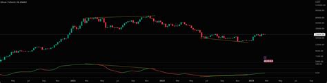 Vector MACD Indicator By BobBasic TradingView