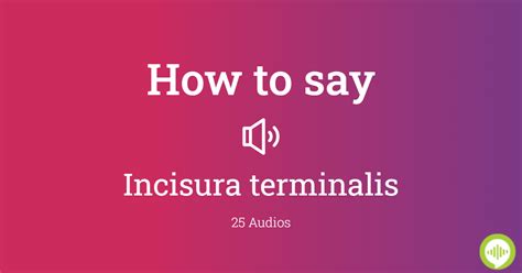 How To Pronounce Incisura Terminalis