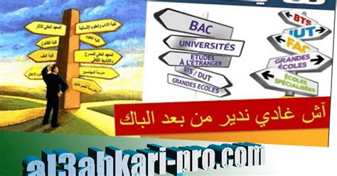 الآفاق الدراسية ما بعد البكالوريا بالمغرب كل مايجب ان يعرفه الناجحون