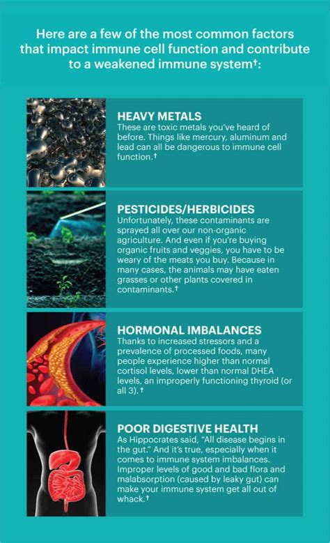 How To Hack Your Immune System Dr Axe