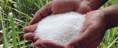 Germany Urea Fertilizer Price 50kg Bag Urea Fertilizer Price 46