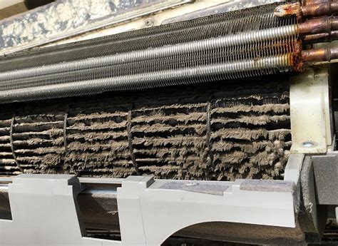 How To Eliminate Mold From A Window AC Unit Once And For All