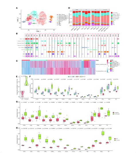 Dissection And Clustering Of T Lymphocytes In 4t1 Mice A T Sne Plot