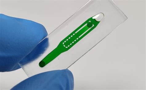 D Printed Microfluidic Devices For Cell Based Applications Asiga