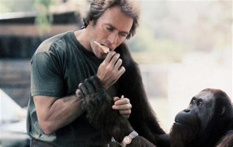 Any Which Way You Can Has More Monkey S E X Scenes Than Every Other Clint Eastwood Movie