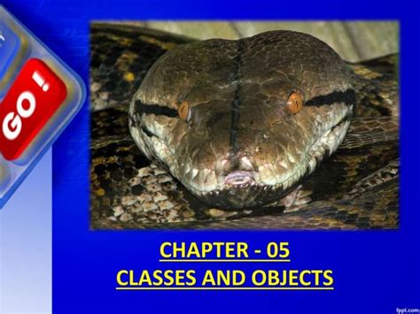 chapter 05 classes and objects ppt