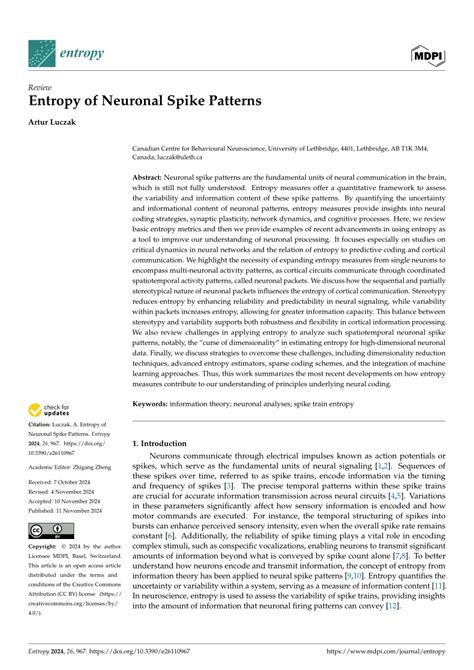 Pdf Entropy Of Neuronal Spike Patterns