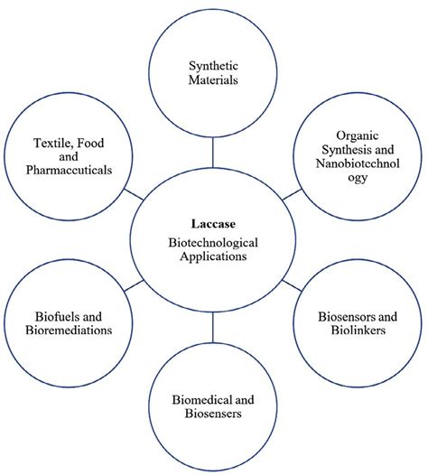 Various Biotechnological Applications Of Laccase The Broad Substrate