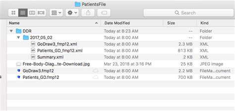 Like A Boss The FileMaker Database Design Report Proof Geist