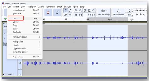 How To Cut Audio In Audacity Into One Or Multiple Tracks Ways