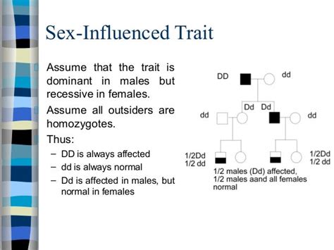 Sex Influenced Traits