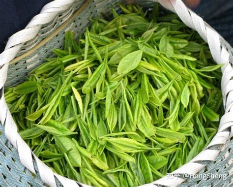 茶叶新零售商城：互联网茶叶，实现产业转型升级 知乎