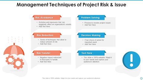 Issue And Risk Powerpoint Ppt Template Bundles Presentation Graphics