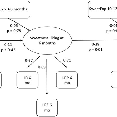 Sem Regression Model And Standardised Parameters N 319 Showing The