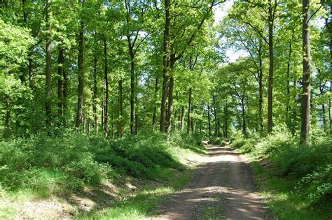 Eichenwald Naturpark