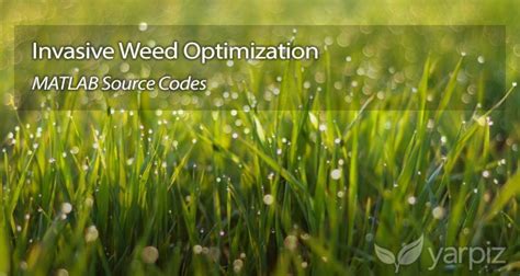 Invasive Weed Optimization Iwo In Matlab Yarpiz