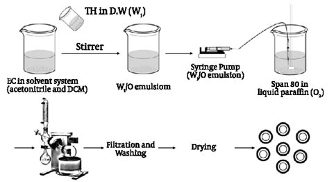 Schematic Representation Of Ec Microparticles Preparation Using