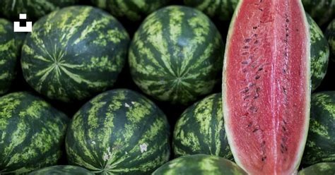 다른 수박 더미에 있는 수박의 클로즈업 사진 Unsplash의 무료 음식 이미지