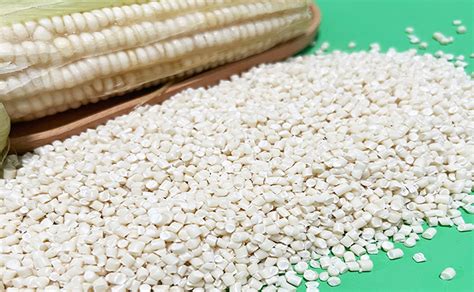 The Difference Between Fully Degradable And Biodegradable