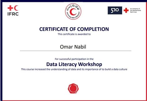 Omar Nabil On Linkedin Im Happy To Share That Ive Obtained A New Certification Data Literacy