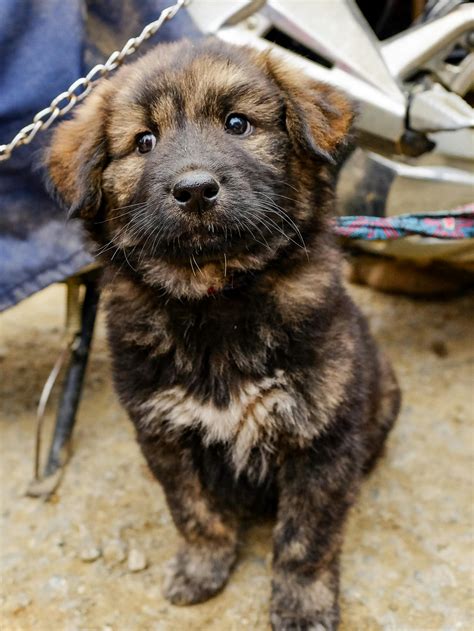 Devops Cover Photo For Linkedin Photos Download The Best Free Devops Cover Photo For Linkedin